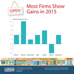 Census Infographics & Visualizations